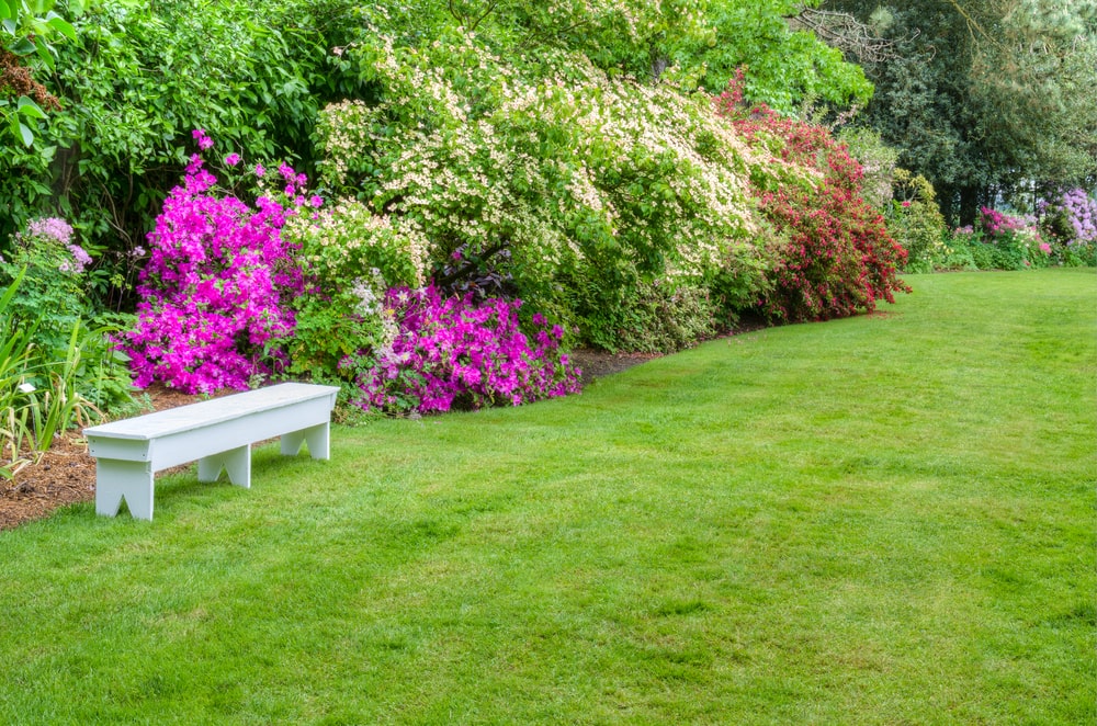 Guide Pratique : Comment Créer un Massif de Fleurs Efficacement